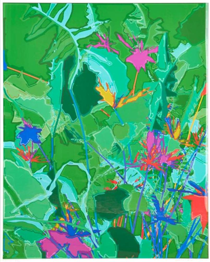 Impression-numérique en couleurs sur papier d’Harold Cohen ...